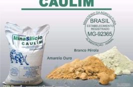 Caulim | Preço Venda Compra - MF Rural