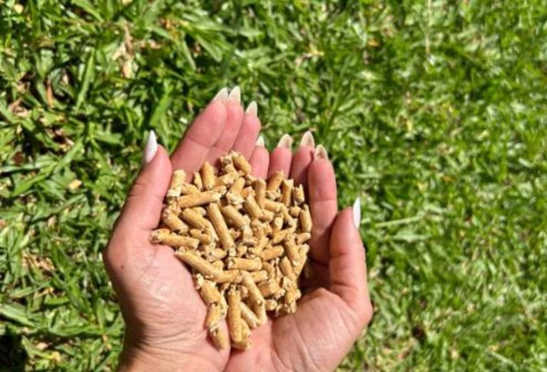 Pellets Para Aquecimento em Lajeado RS à venda. Compre direto 676279